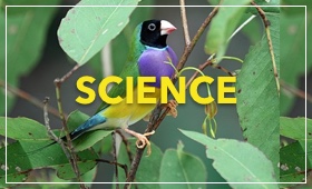 science - Naturally for Birds