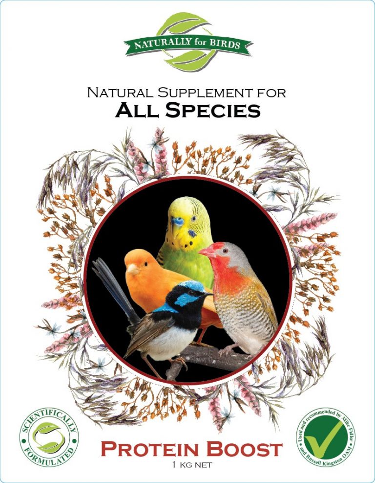 PROTEIN BOOST Supplement for All Species - Naturally for Birds